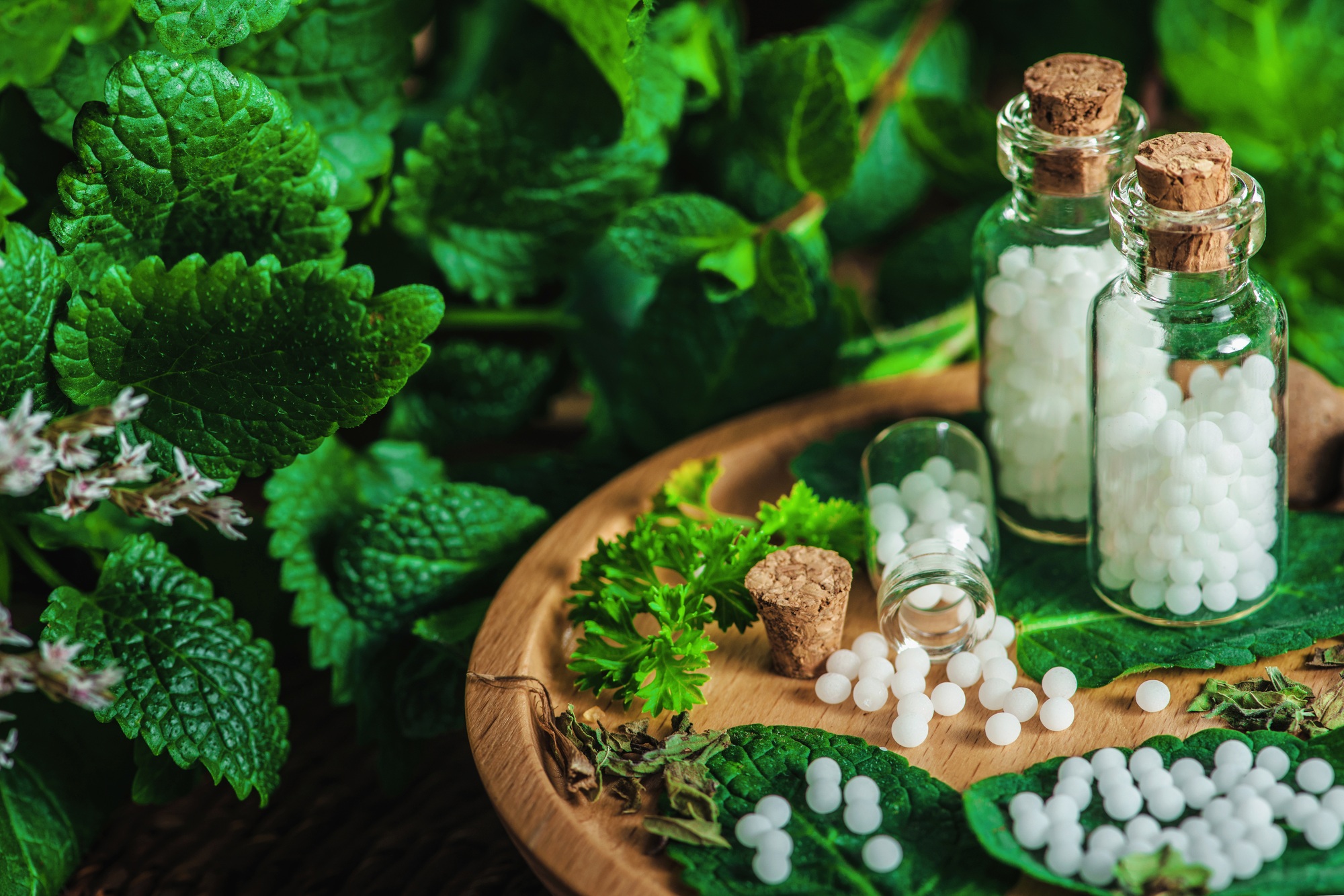 Dr. Bali’s Bliss Center Detox Ayurveda Treatment